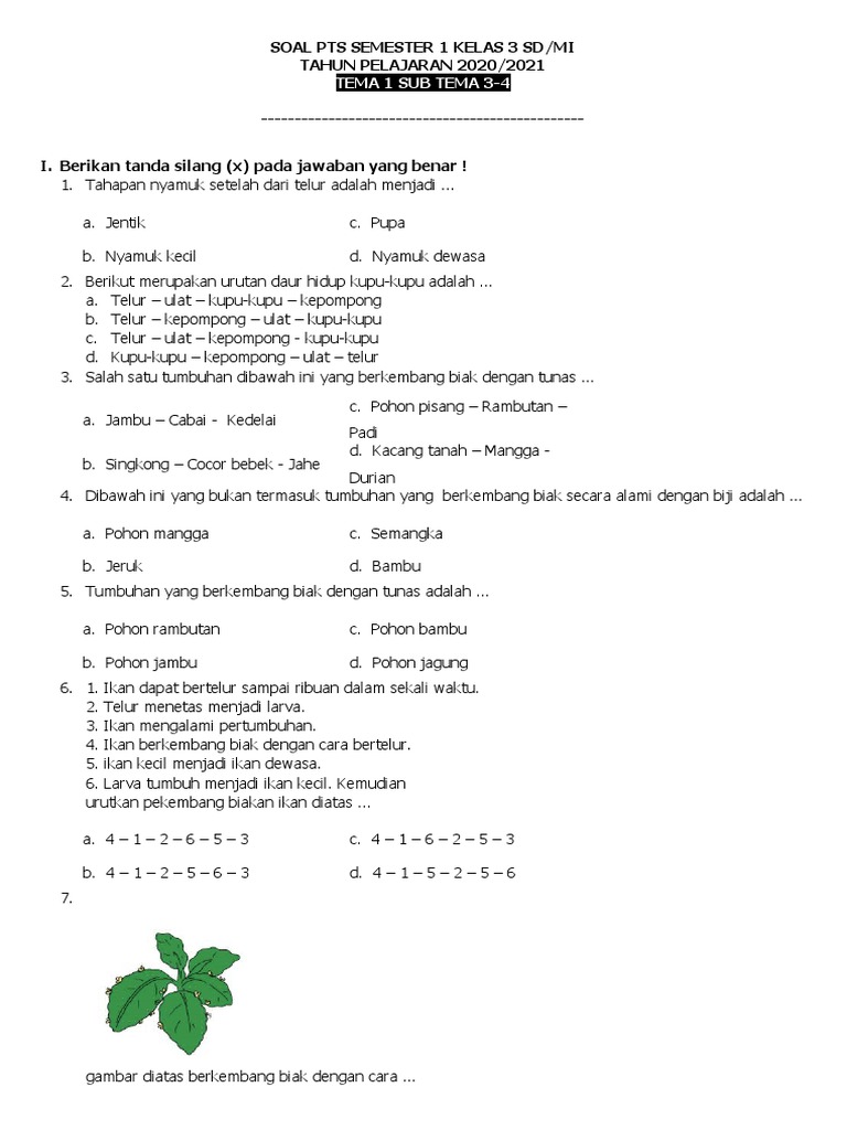 Soal PTS Kelas 3 Tema 1 Sub 3-4 - Reupload Kamimadrasah | PDF