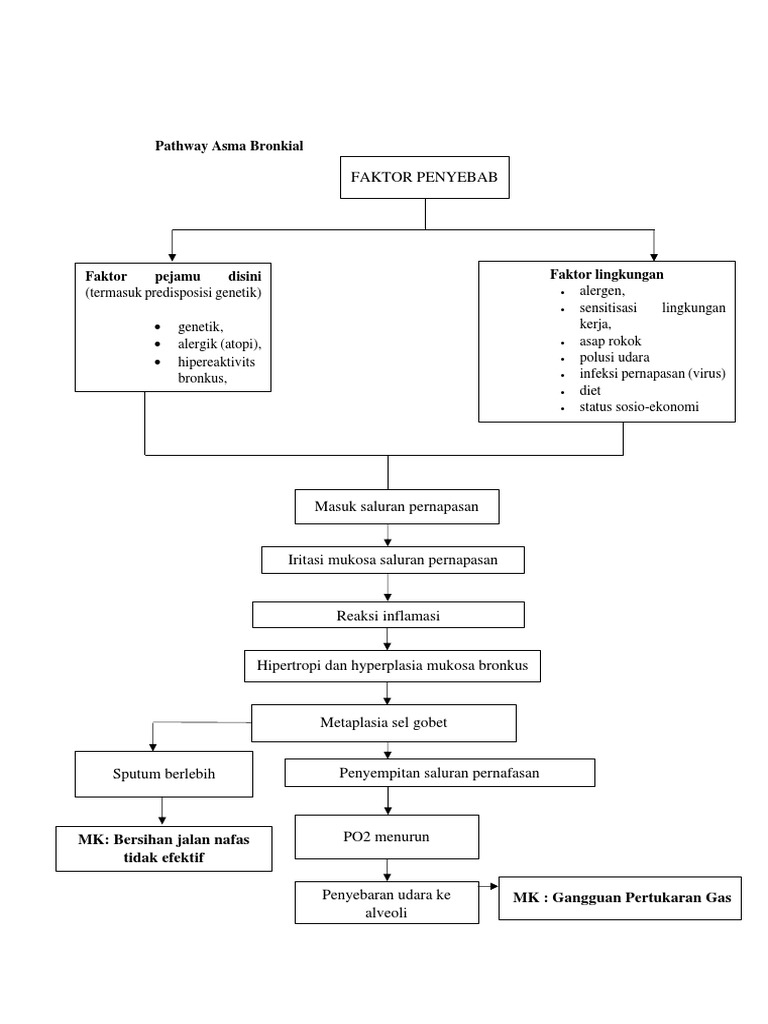 Pathway Asma Bronkial | PDF