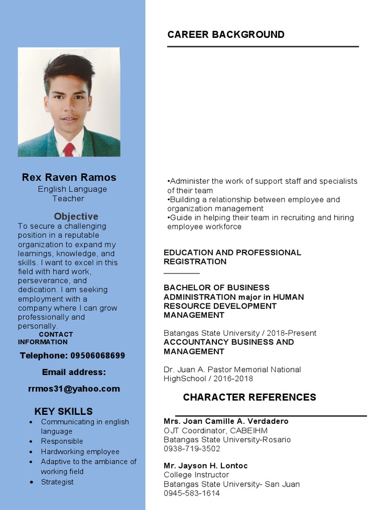 Rex Raven Ramos: Career Background | PDF