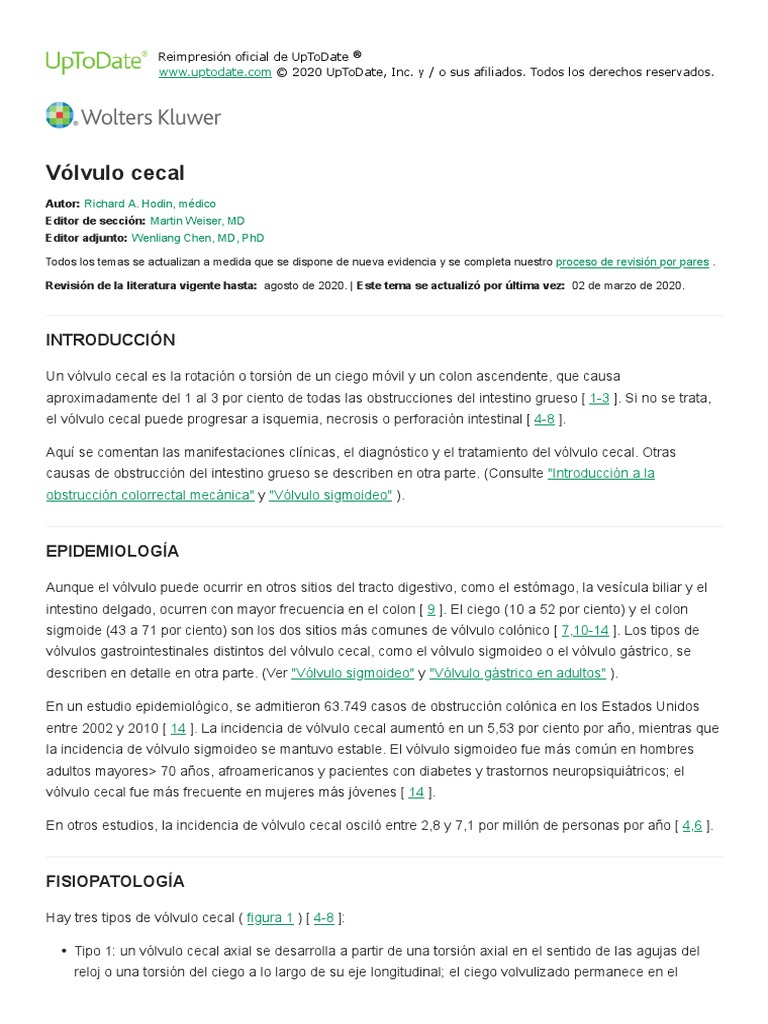 Vólvulo Cecal | PDF | Ct Scan | Intestino grueso