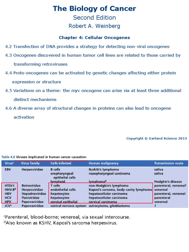 Ch4 Lecture Slides | PDF | Oncogene | Transfection