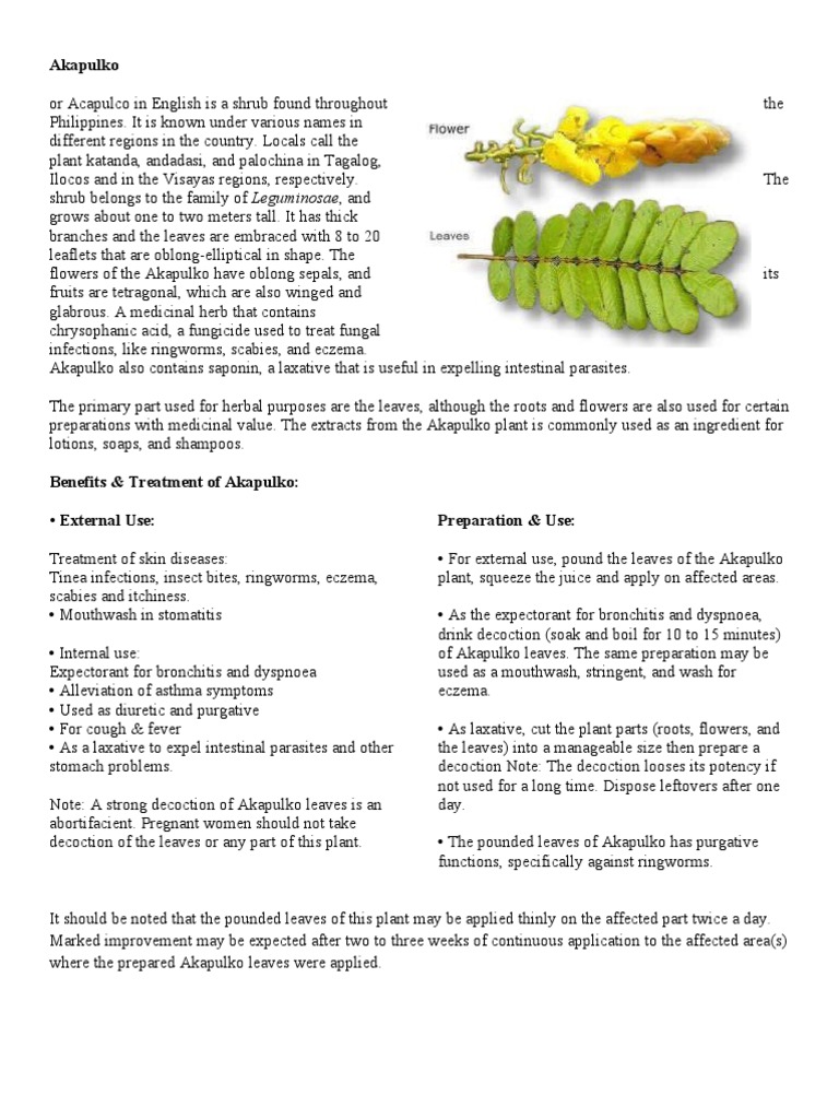 10 Herbal Meds in Philippines | PDF | Garlic | Oregano