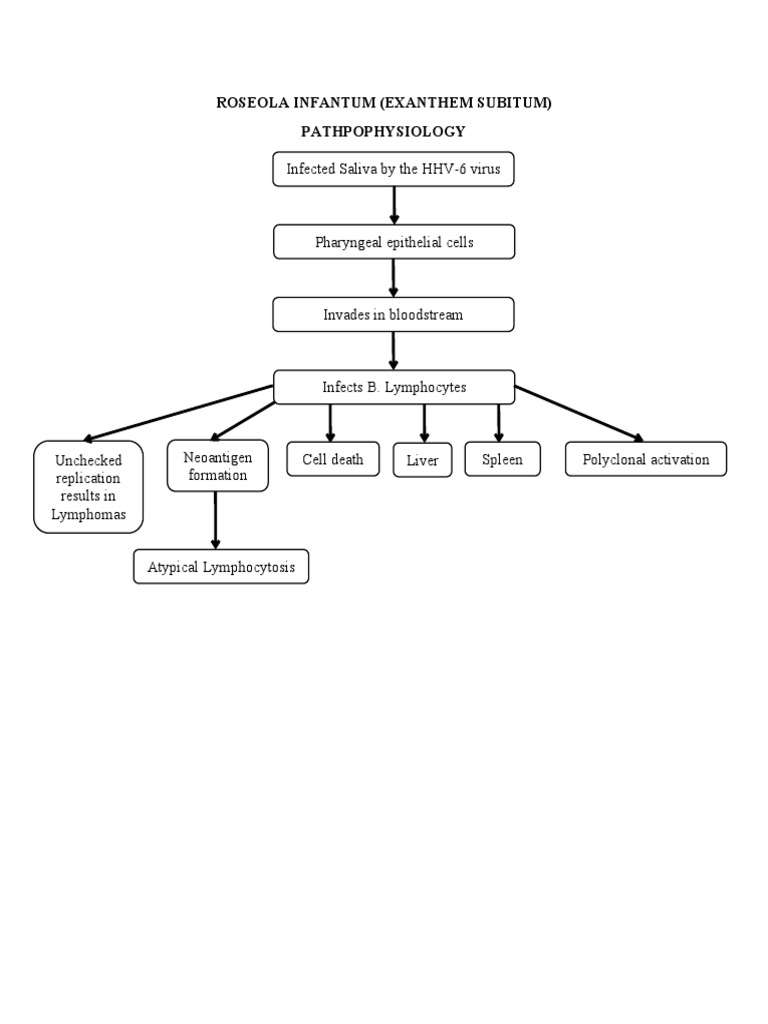 Roseola Infantum (Exanthem Subitum) Pathpophysiology: Infected Saliva ...