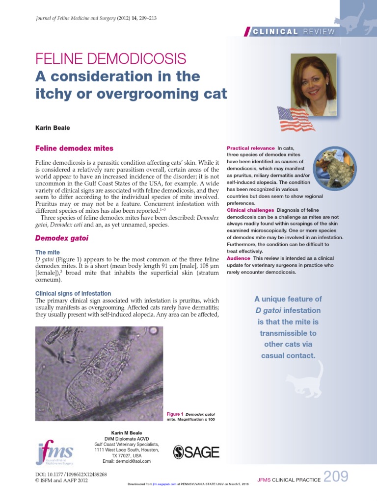 A Consideration in The Itchy or Overgrooming Cat: Feline Demodicosis ...