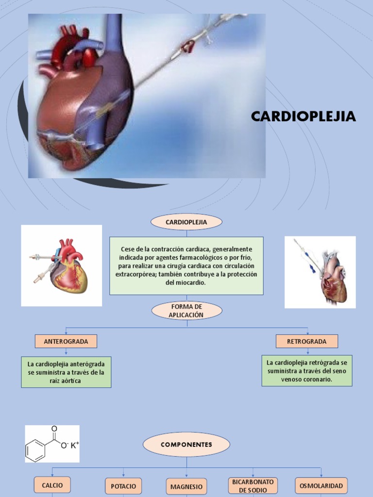 Tipos de Cardioplegia y Aplicaciones | PDF | Corazón | Músculo cardíaco
