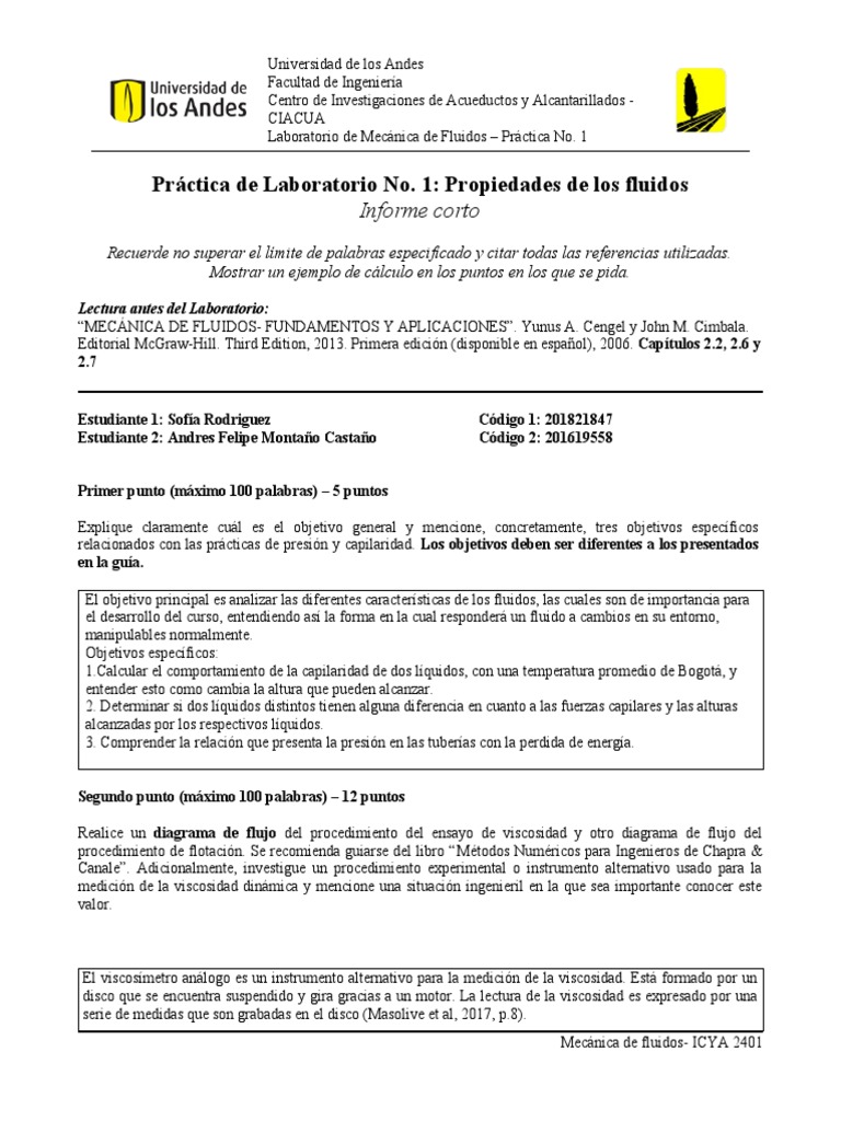 F13 Informe P1 | PDF | Cantidades fisicas | Líquidos