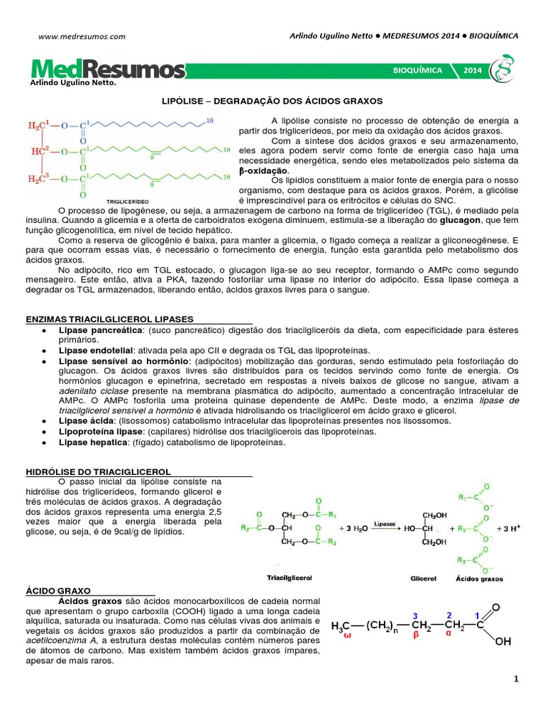 14 - Lipólise.pdf | PDF | Triglicerídeo | Ácido graxo