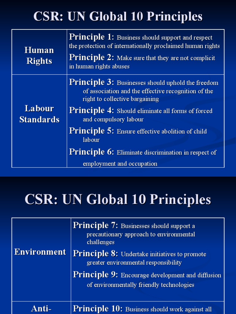 CSR: UN Global 10 Principles | PDF | Corporate Social Responsibility ...