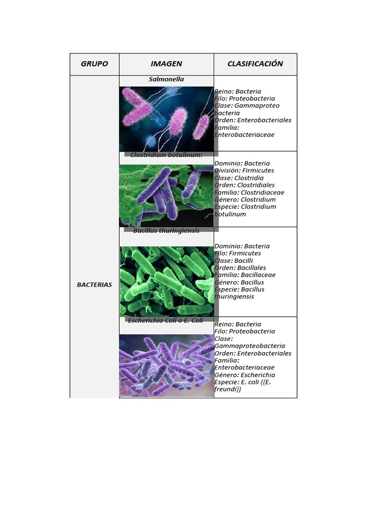 Cuadro Excel Microbiologia | PDF | Biología Celular) | Alimentos