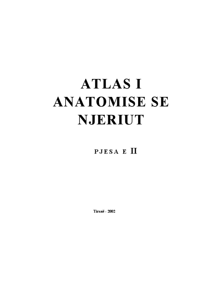 Atlas I Anatomise Se Njeriut | PDF | Atrium (Heart) | Aorta