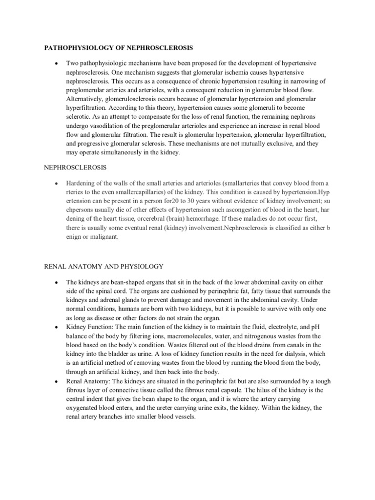 Nephrosclerosis Pathophysiology Overview | PDF | Kidney | Physiology