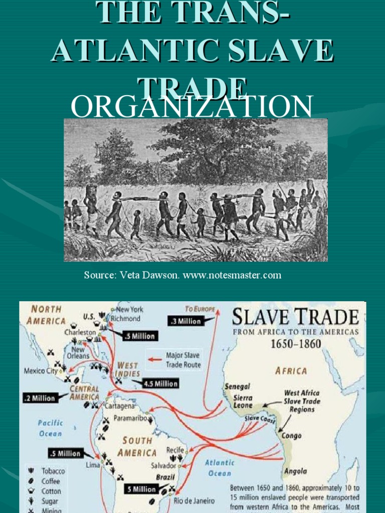 The Trans-Atlantic Slave Trade | PDF | Atlantic Slave Trade | Slavery