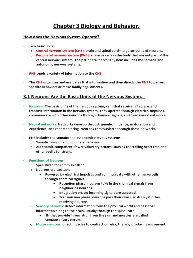 Chapter 3 - Biology and Behavior. | PDF | Neurotransmitter | Neuron