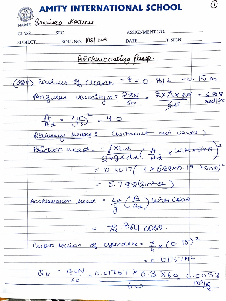 Rotational Pump Assignment | PDF