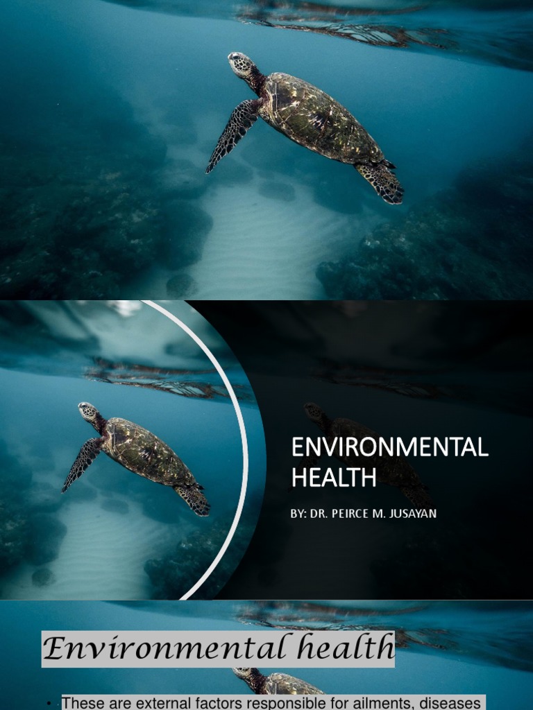Environmental Health | PDF | Air Pollution | Chronic Obstructive ...