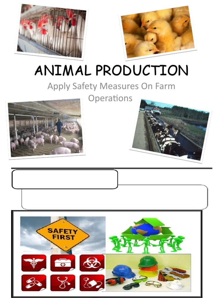 Apply Safety Measures in Farm Operations Animal Production | PDF ...