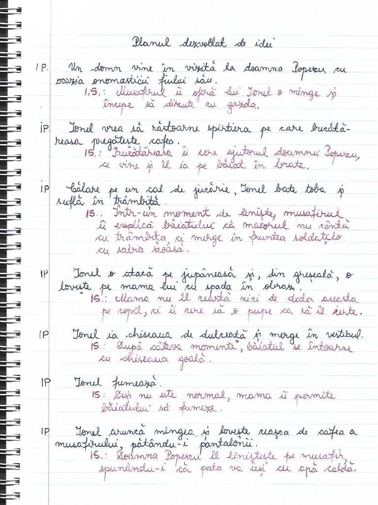 Vizita - Planul Dezvoltat de Idei PDF | PDF