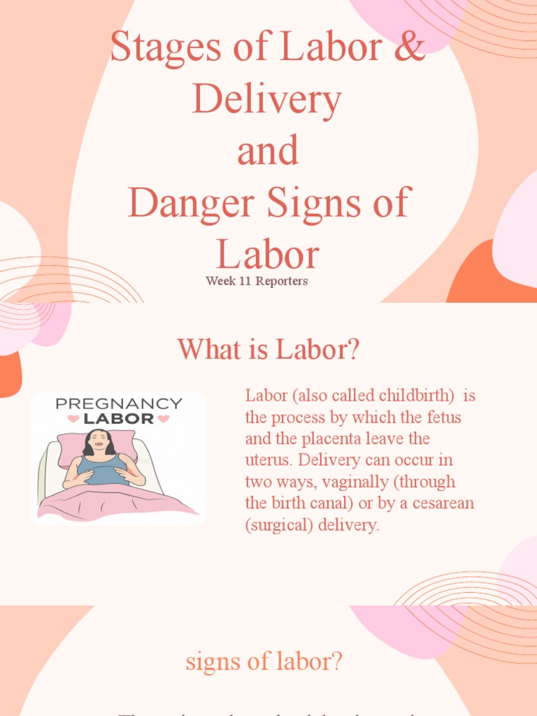 Stages of Labor & Delivery and Danger Signs of Labor: Week 11 Reporters ...