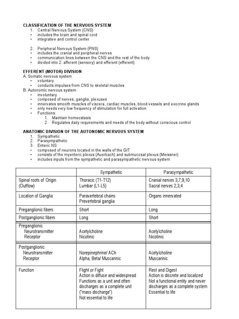 Autonomic Nervous System Handout