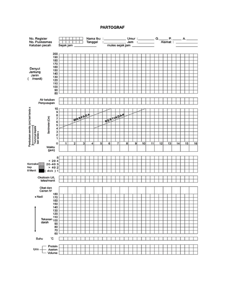 Lembar Partograf | PDF