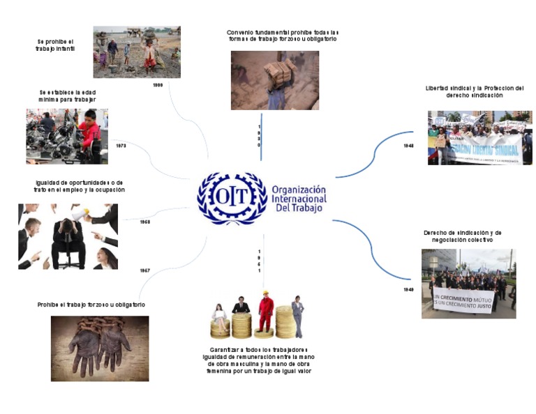 Mapa Mental Oit | PDF