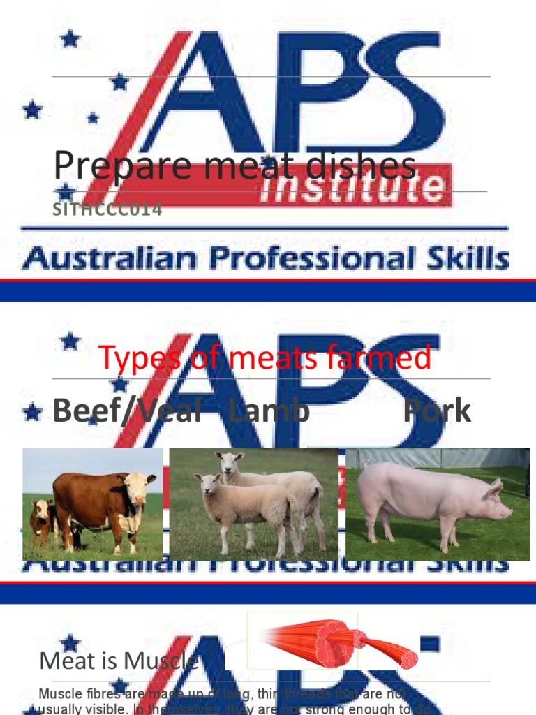 SITHCCC014 Prepare Meat Dishes | PDF | Offal | Steak