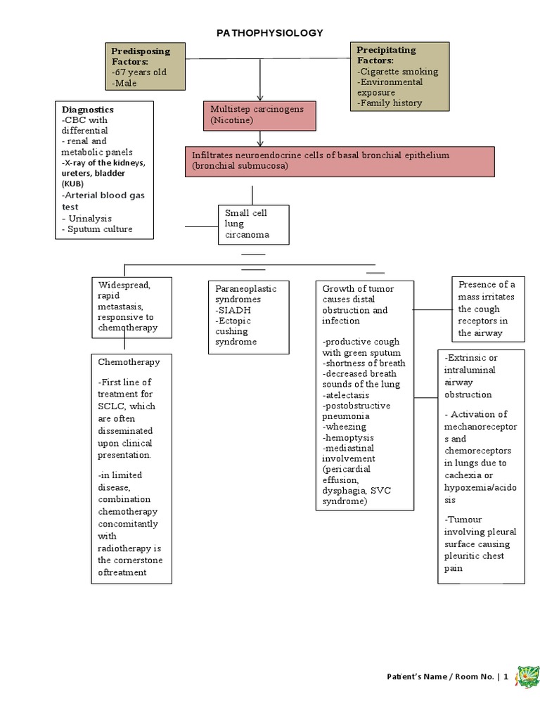 Pathophysiology Precipitating Factors: Predisposing Factors | PDF ...