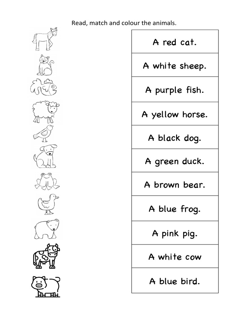 Animal Color Matching Fun | PDF