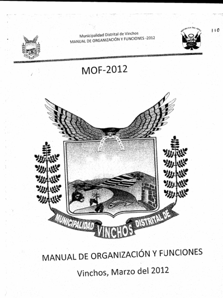 Manual de Organizacion y Funciones (Mof) PDF | PDF