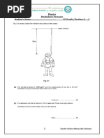 Grade 8 Physics Worksheet | PDF | Velocity | Speed