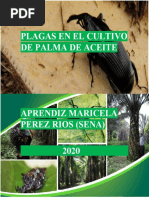 Manual para El Establecimiento de Una Huerta de Aguacate | PDF | Aguacate | Fertilizante