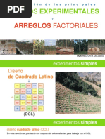 Diseño y Análisis de Parcelas Divididas | PDF | Experimentar | Análisis ...