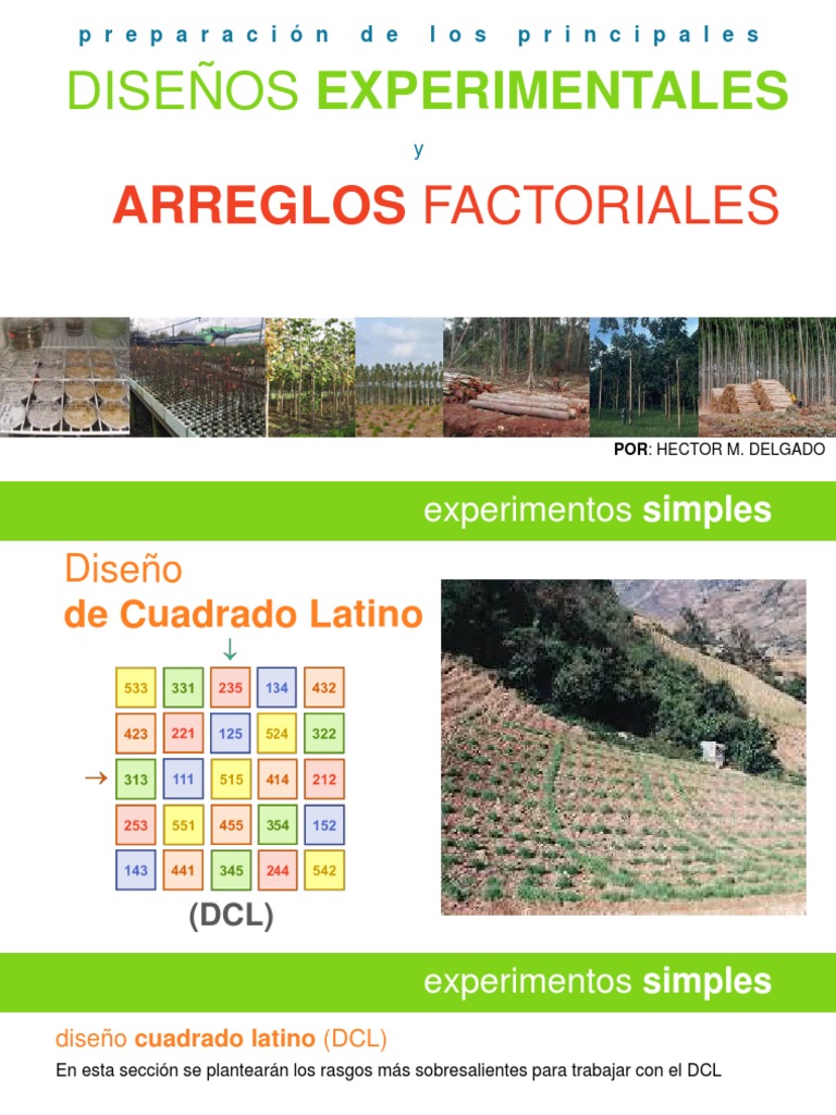 Aleatorización DCL | PDF | Diseño de experimentos | Empirismo
