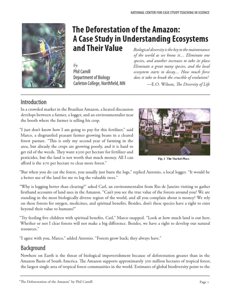 Amazon Case Study PDF | PDF | Deforestation | Amazon Rainforest