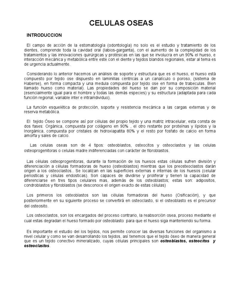 Celulas Oseas | PDF