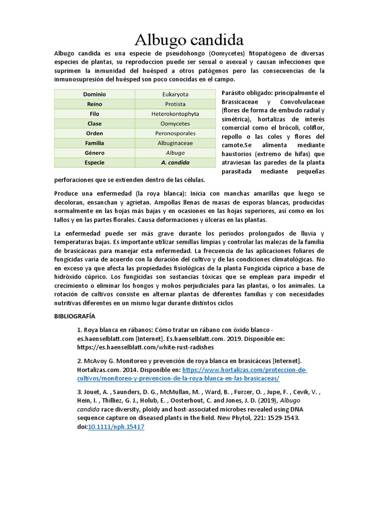 Albugo candida y roya blanca en plantas | PDF | Fungicida | Plantas