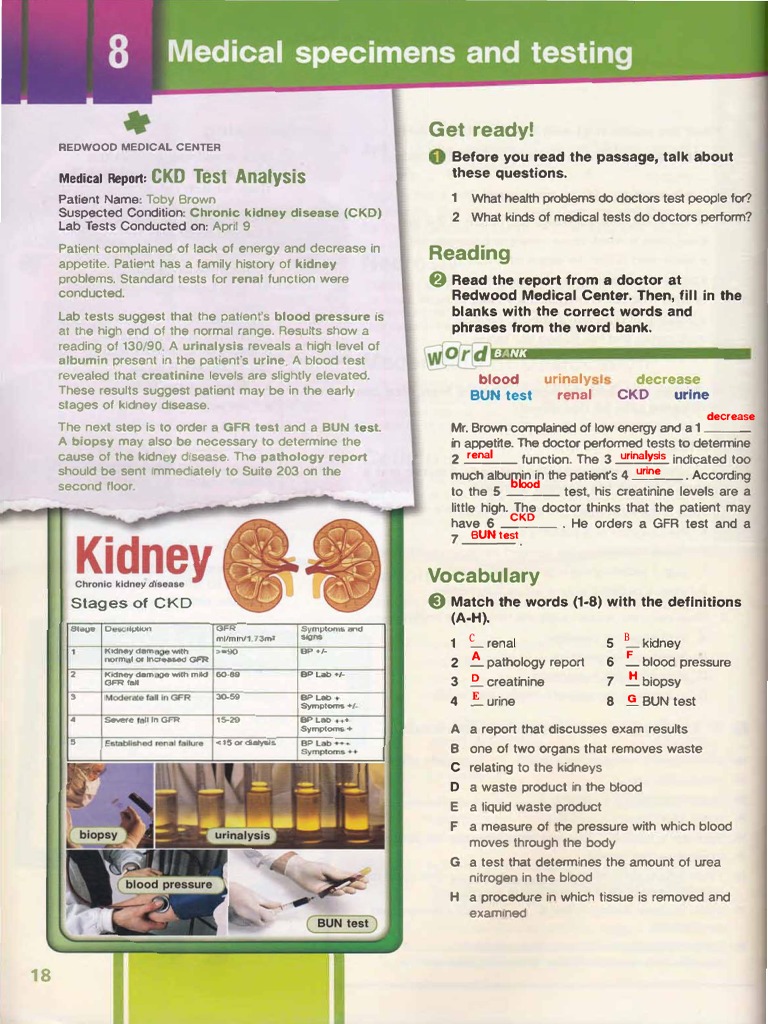 CKD Test Analysis: Get Ready! | PDF | Renal Function | Chronic Kidney ...