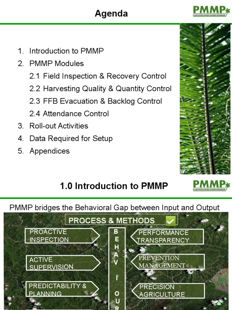 Presentasi e Plantation | PDF | Global Positioning System | Agriculture