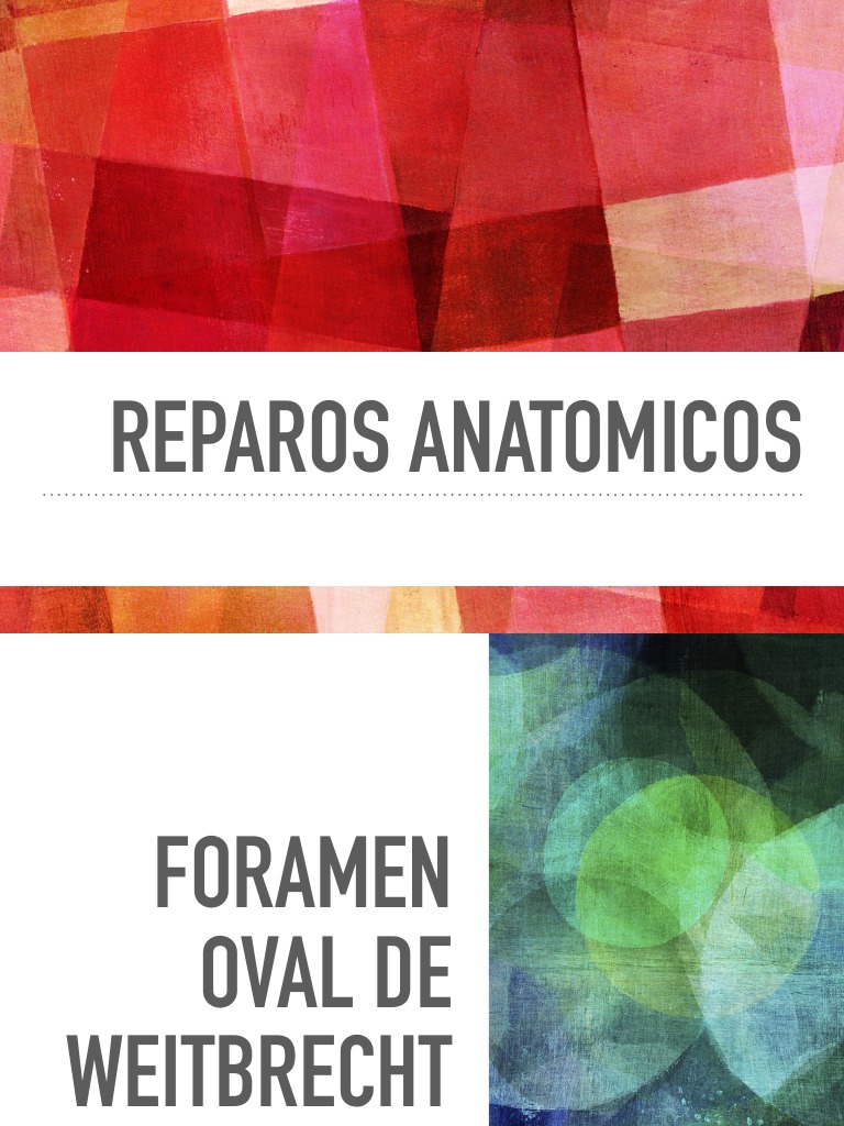Reparos Anatomicos | PDF