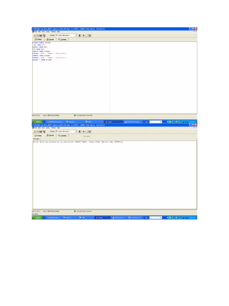 Instrucciones en Winsql | PDF