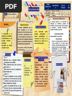 Cloranfenicol: Propiedades y Usos Antibacterianos | PDF | Las bacterias ...
