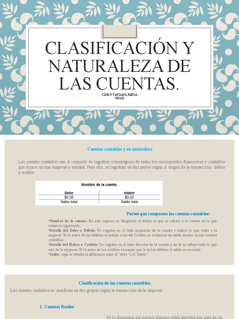 Clasificación y naturaleza de cuentas contables | PDF | Contabilidad ...