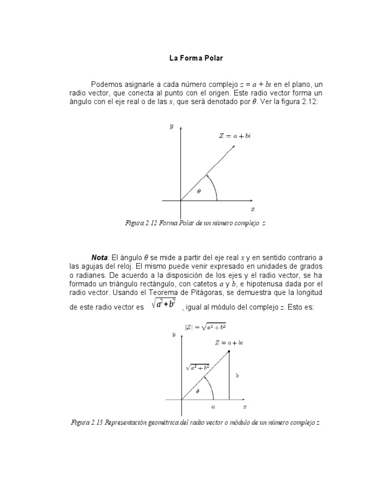 La Forma Polar | PDF | Número complejo | Vector Euclidiano