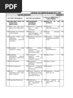 Tabla de Causas Básicas NTC 3701 | PDF | Evaluación | Factores humanos ...