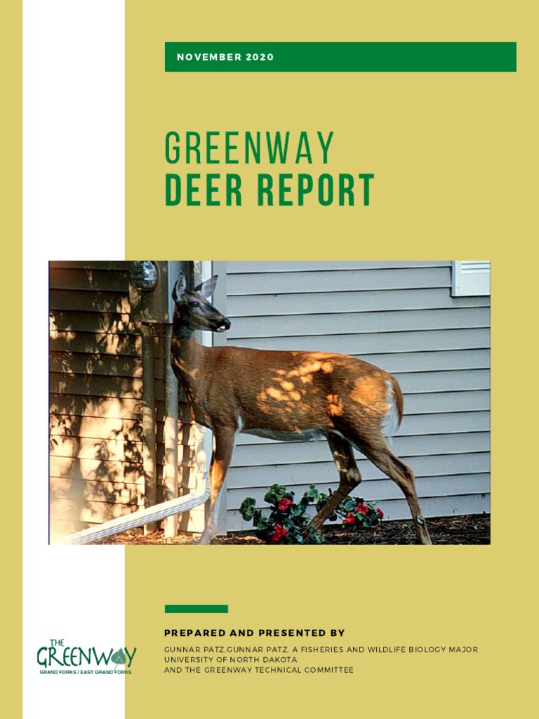 Deer Report | PDF | Survey | Science