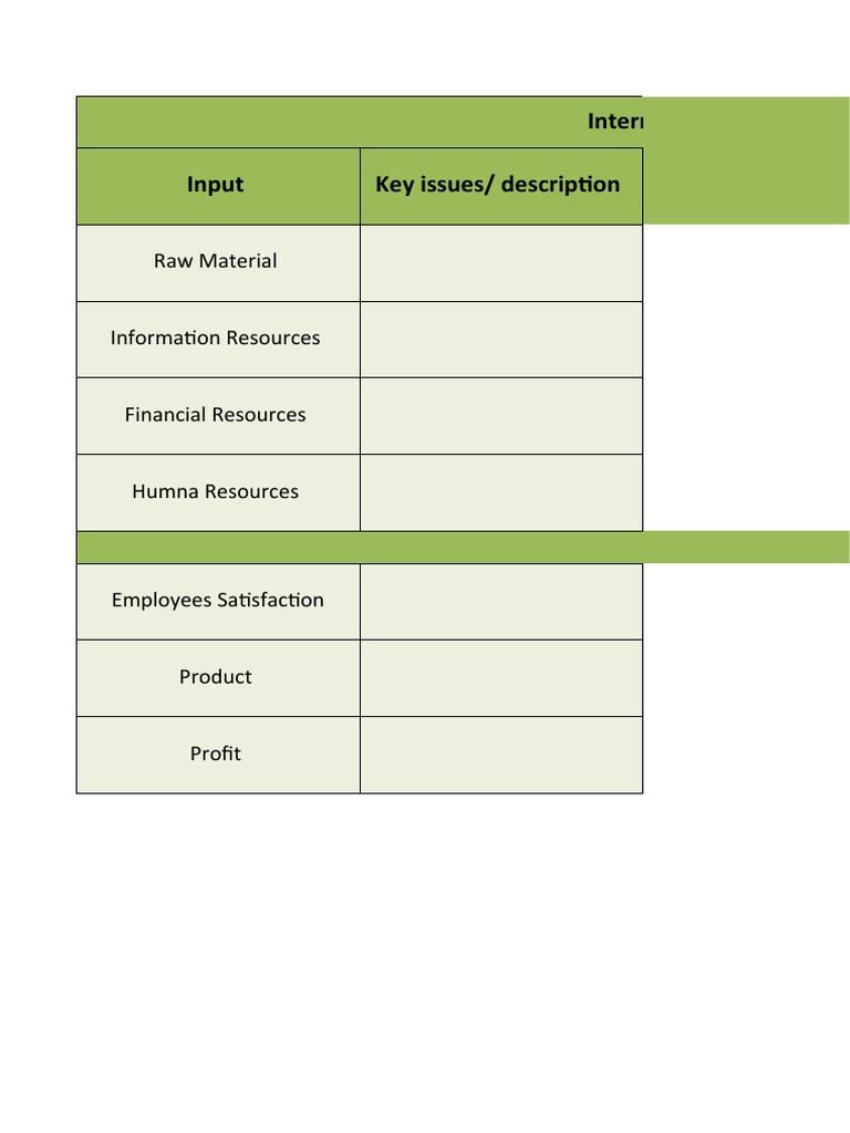 Internal and External Organizational Analysis | PDF | Business