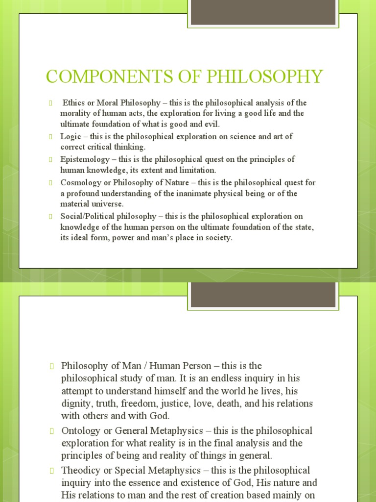 Module1 - Components of Philosophy | PDF | Reason | Metaphysics