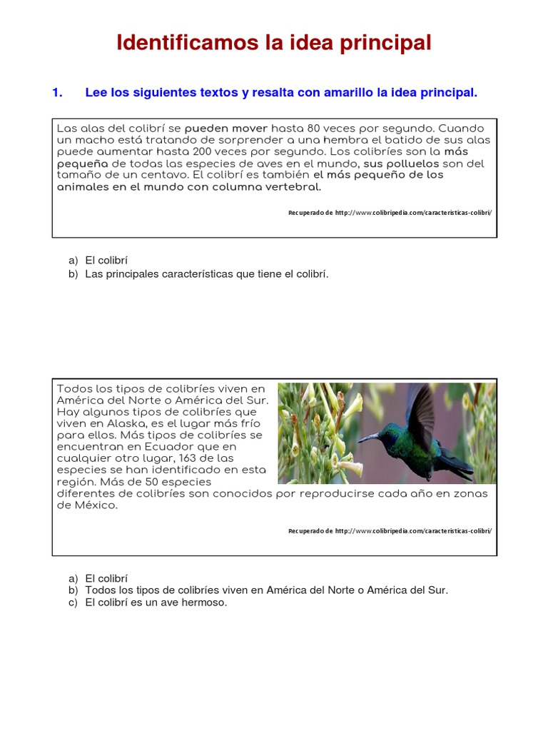Identificamos La Idea Principal | PDF