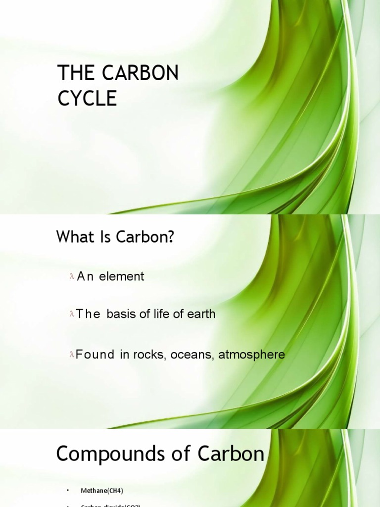 Carbon Cycle | PDF | Carbon Cycle | Earth Sciences