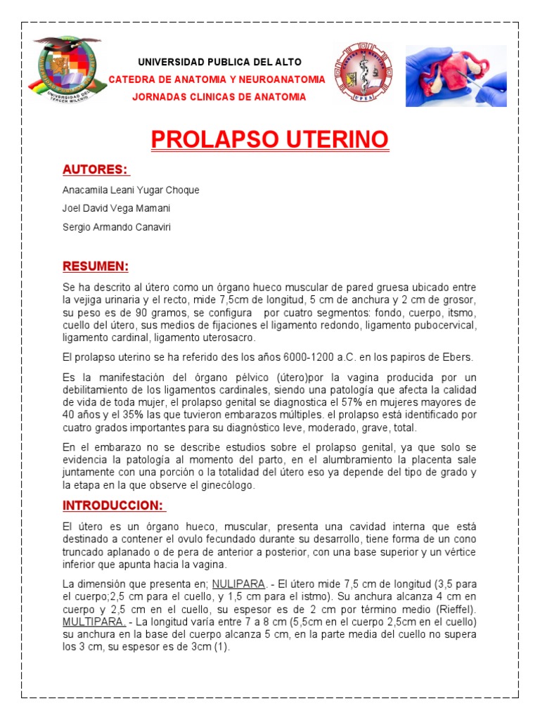 Informe Prolapso Uterino | PDF | Útero | Vagina